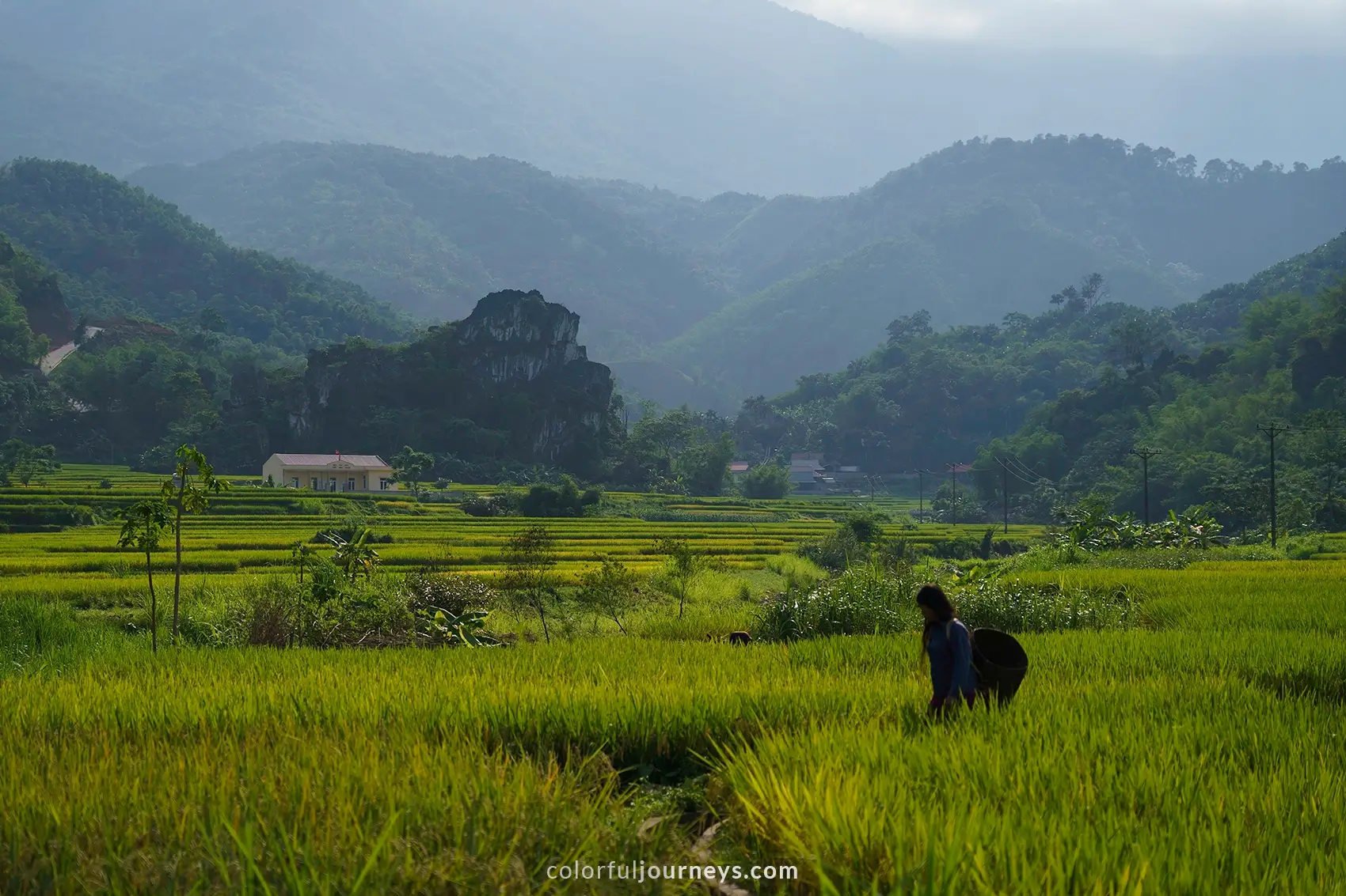 Guide to Pu Luong Nature Reserve in Vietnam